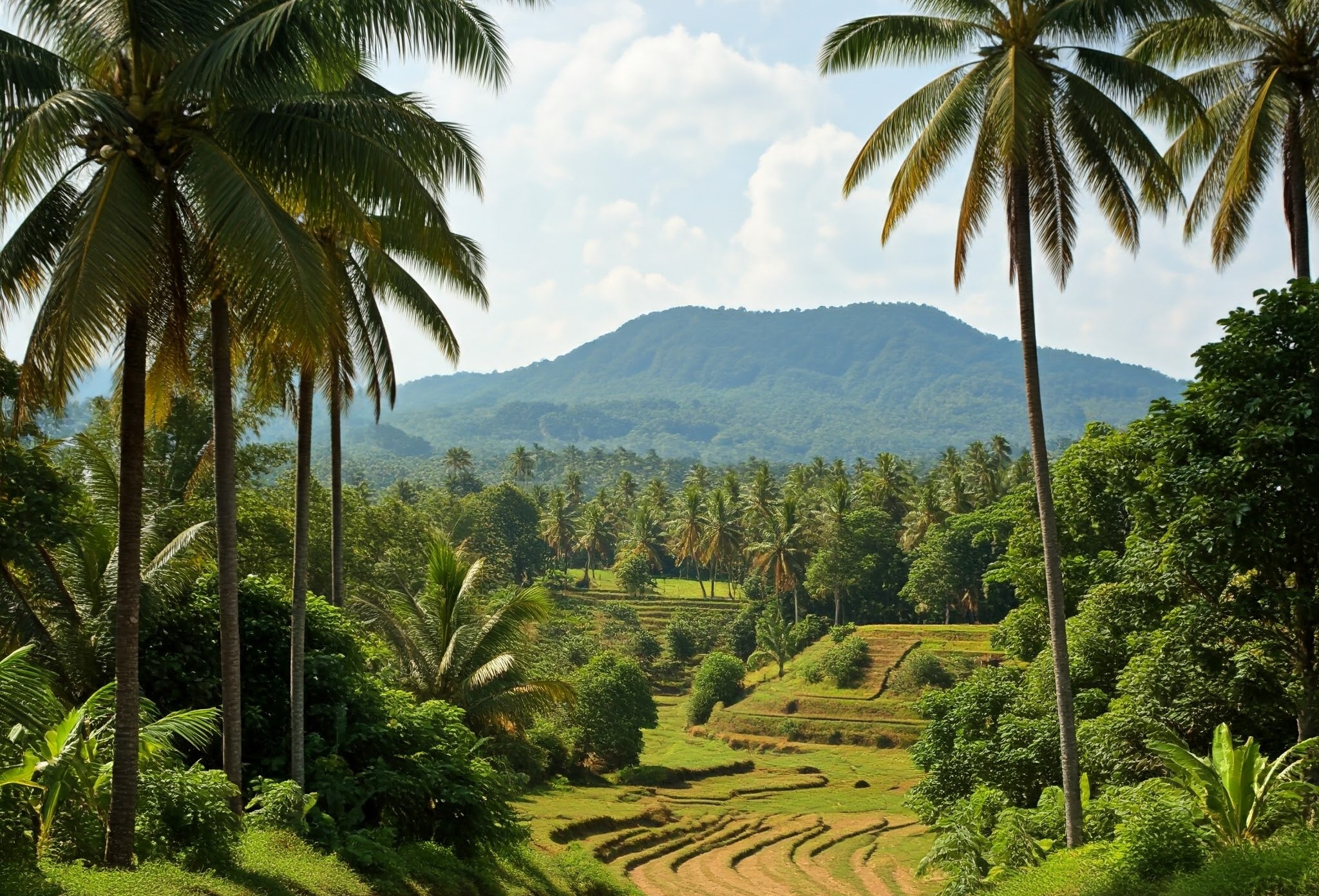 Sri Lanka — wakacyjna wyspa zwana „łzą Indii” | Sri Lanka, czyli wyspa ...